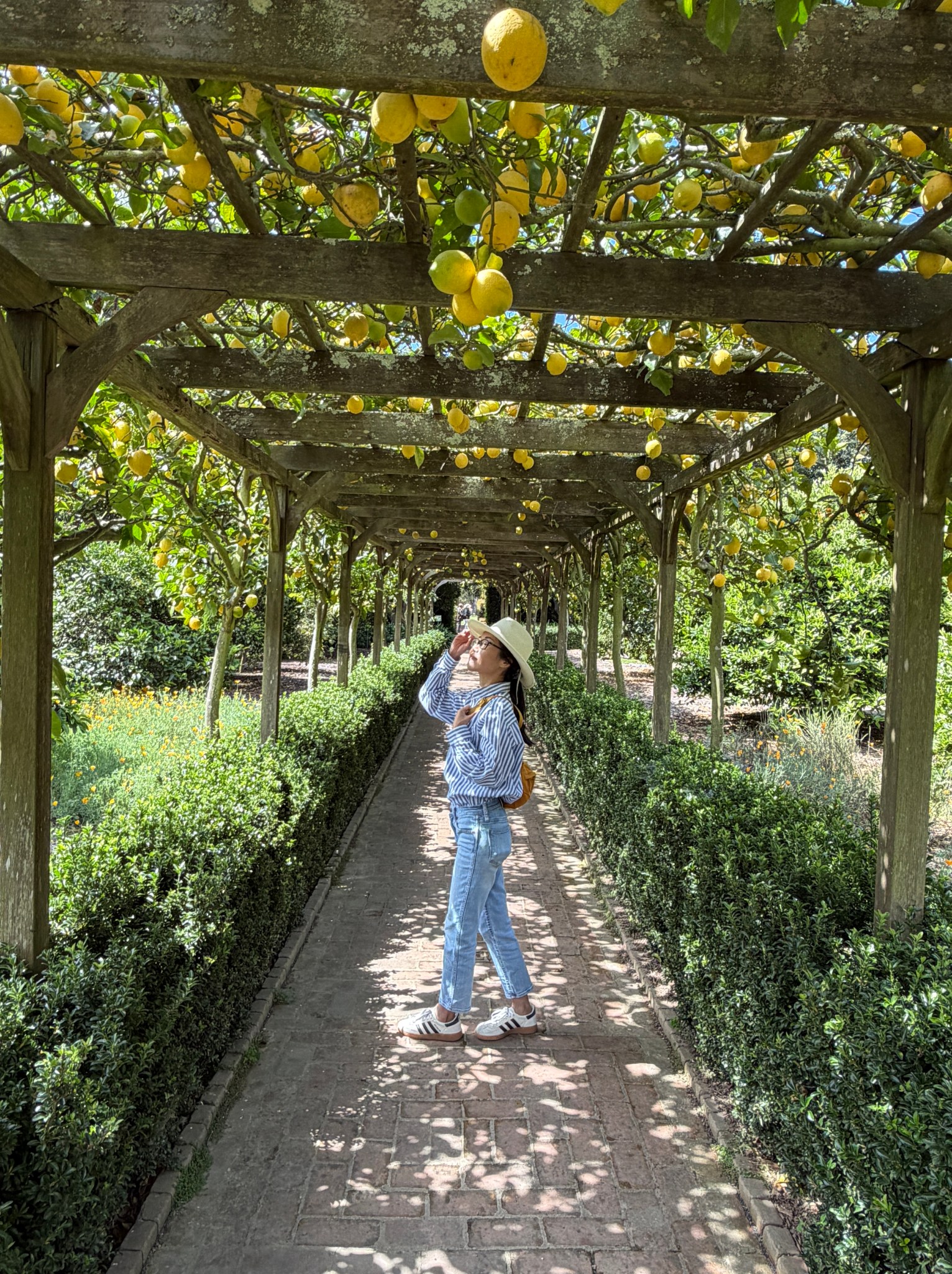 Through Nature’s Window: Spring Breathes Her Beauty at Lotusland – STEPHY